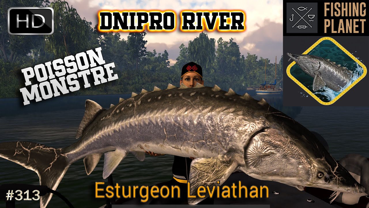 FISHING PLANET DNIPRO RIVER #313 ON PÊCHE LE POISSON MONSTRE ESTURGEON ...