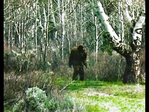 Three Bigfoot Walk Upon a Fisherman & Take His Catch