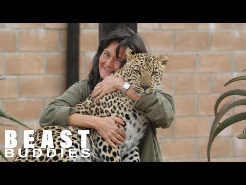 Leopard Lady Living With Wild Cats | BEAST BUDDIES