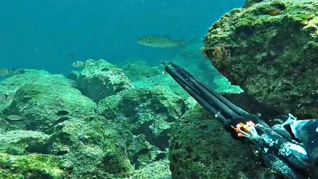🌅🔱Kr_spearfishing Ρηχό Ψαροντούφεκο εκεί που όλοι μπορούμε📸📹📹 - YouTube