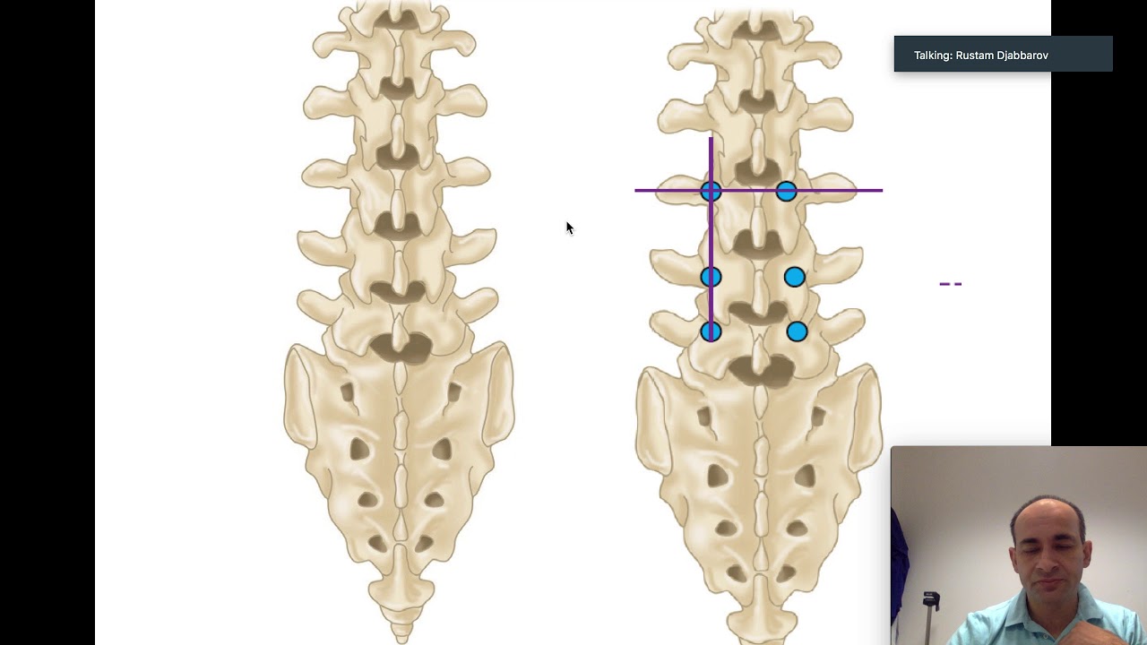 anatomy and approaches to spine - YouTube