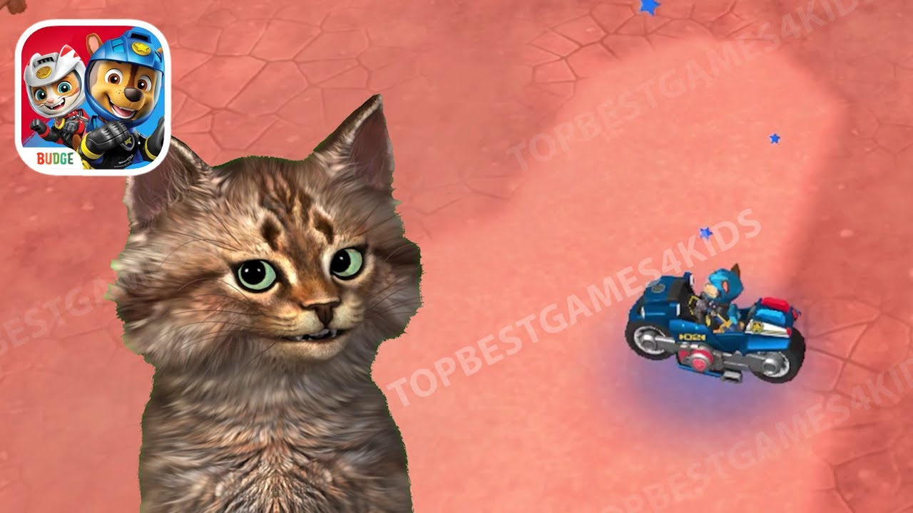 😻⭐🦴 Paw Patrol Rescue World | Funny Kitty Moto Chase and Ruff Ruff Pack ...