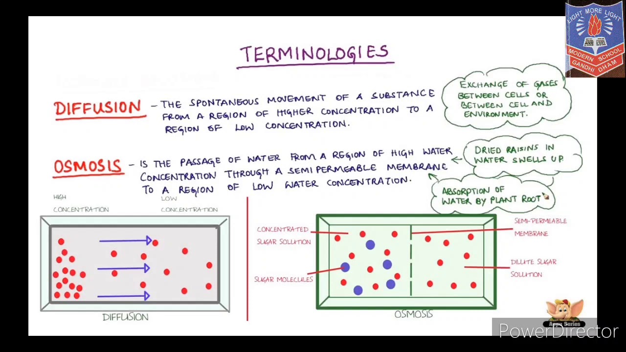 Std 9 Sub Science chp 5 Part 1 by Mr kumar Swamy - YouTube