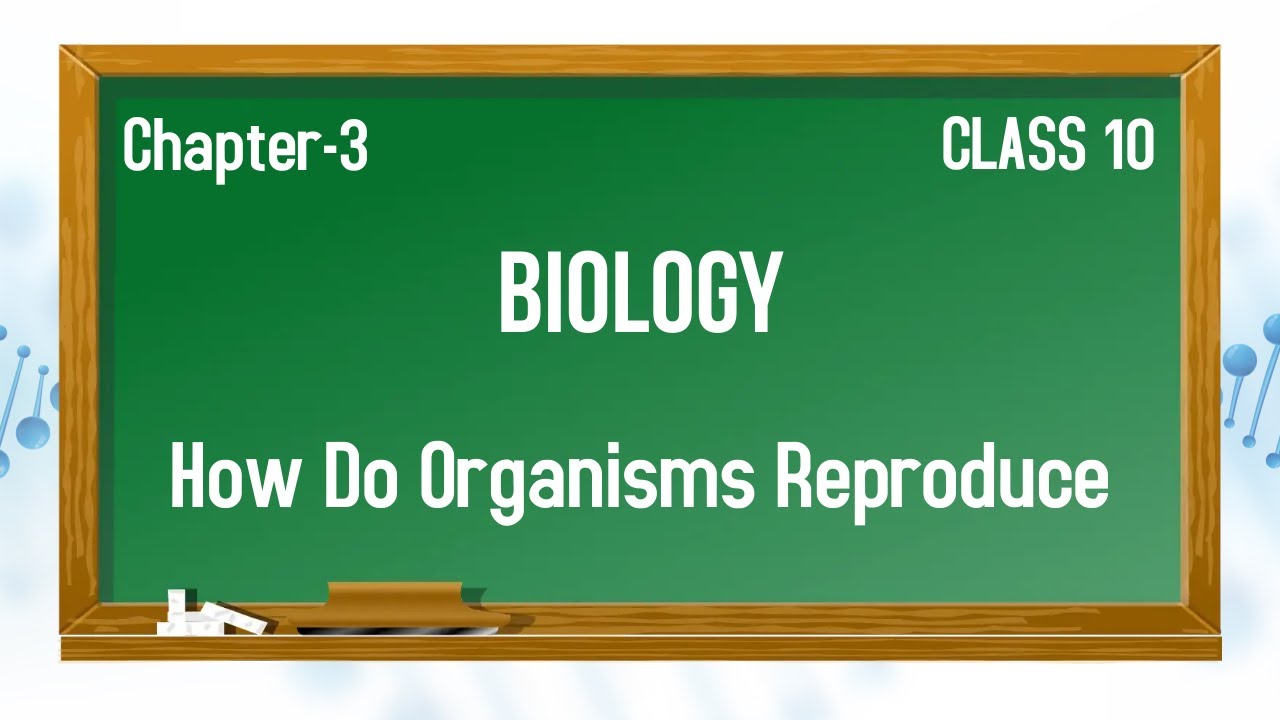 How Do Organisms Reproduce | Class 10 Biology | CBSE NCERT | Video 1/3 ...