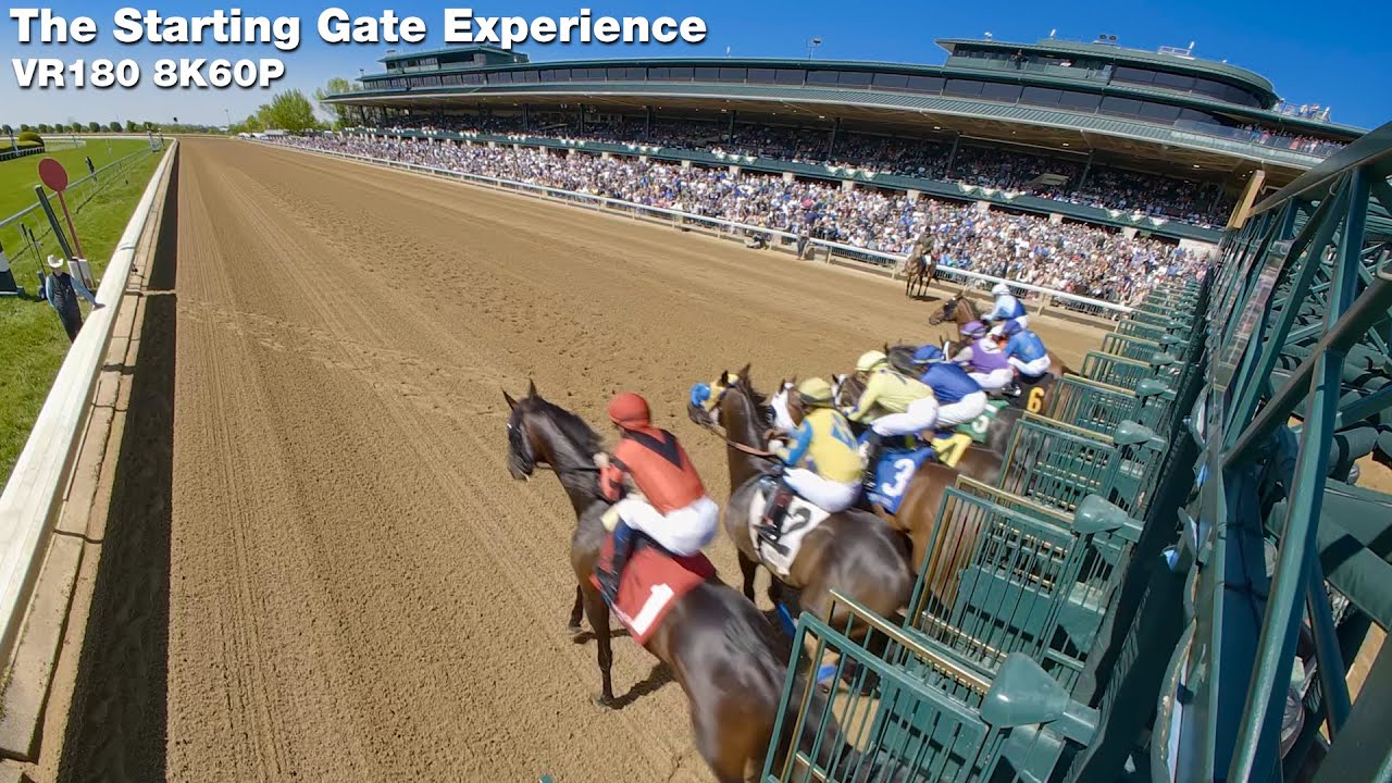 The Starting Gate Experience - YouTube
