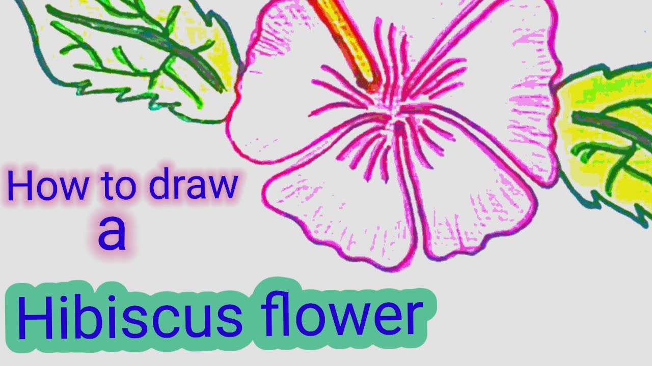 Draw Hibiscus flower step by step. - YouTube