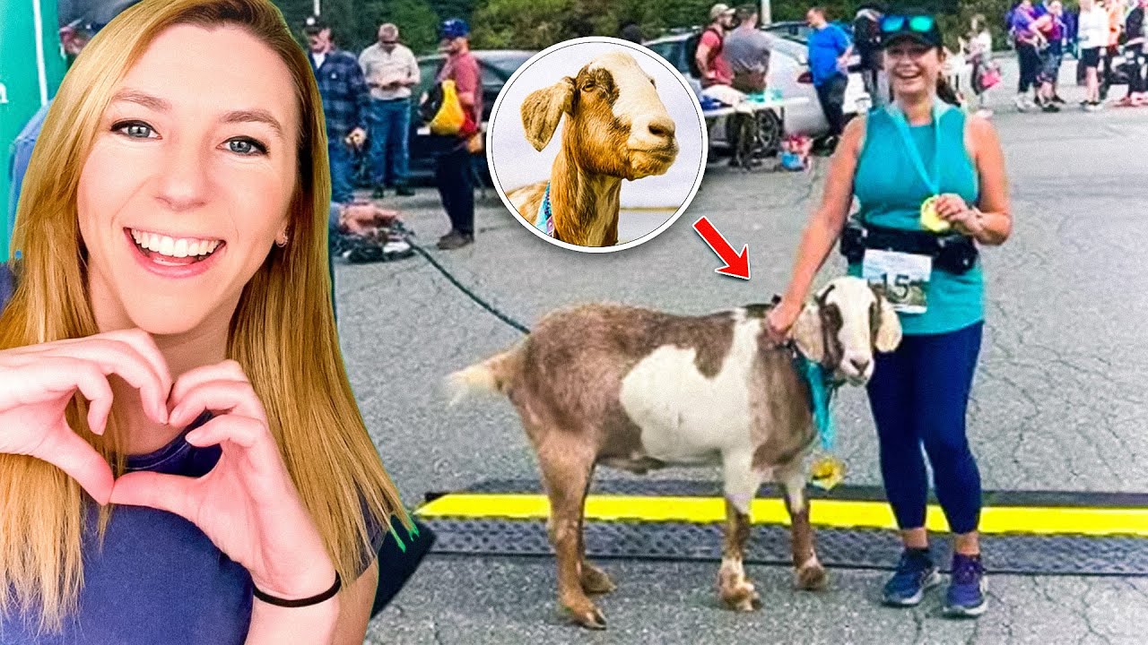 Goat Crashes Half Marathon and Steals the Show! - YouTube