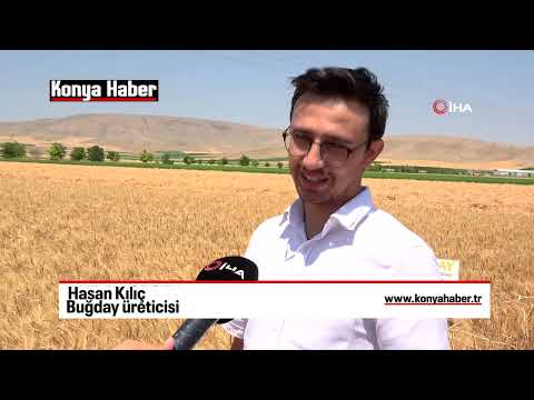 Konya Ovası’nda buğday hasadı başladı: Verim yüz güldürdü l 09  Temmuz 2026 #konya #konyahaber