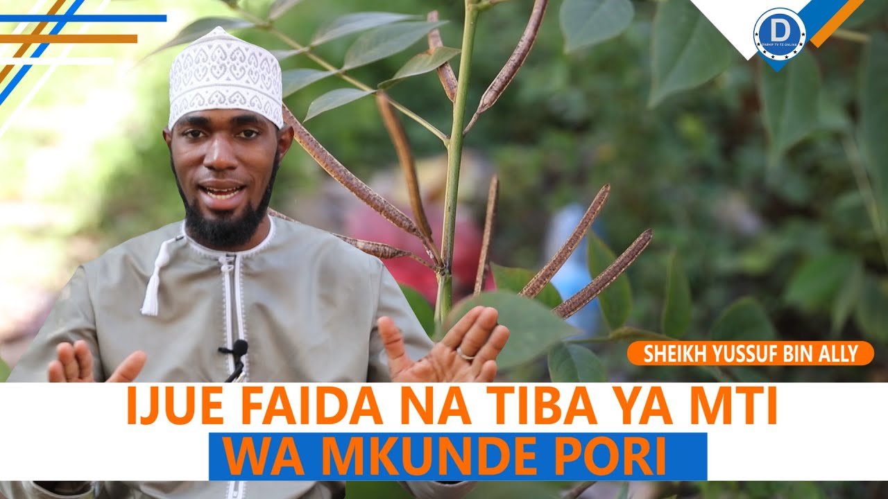 IJUE FAIDA NA TIBA YA MTI WA MKUNDE PORI |SHEIKH YUSSUF BIN ALLY - YouTube