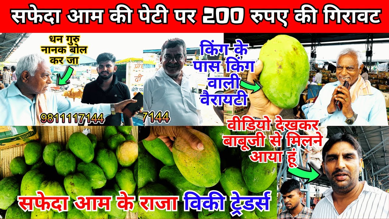 Vicky Traders King of Mango | Delhi mango wholesale price | Azadpur ...