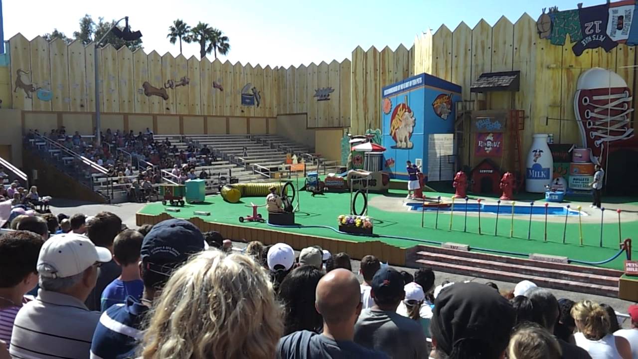 Pets Rule Show...Sea World San Diego - YouTube