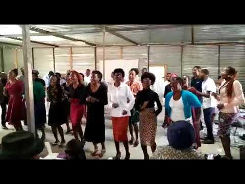 Tree of life Afm AGS - YouTube