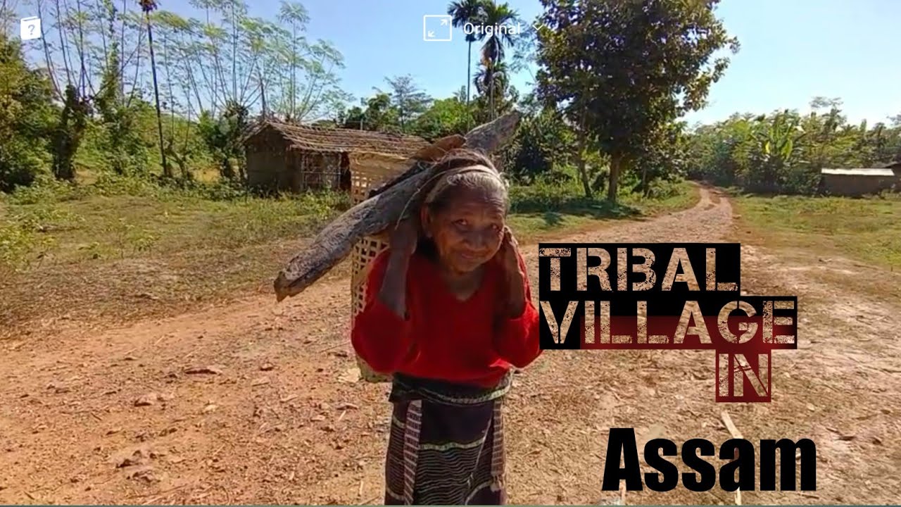 Tribal village of Assam, Karbi tribes Tribal people in India - YouTube