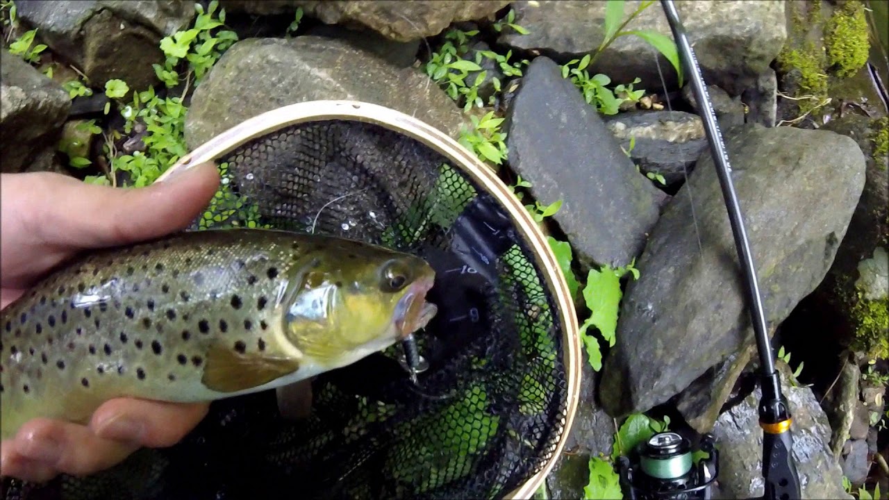 Early Spring Trout Fishing - YouTube