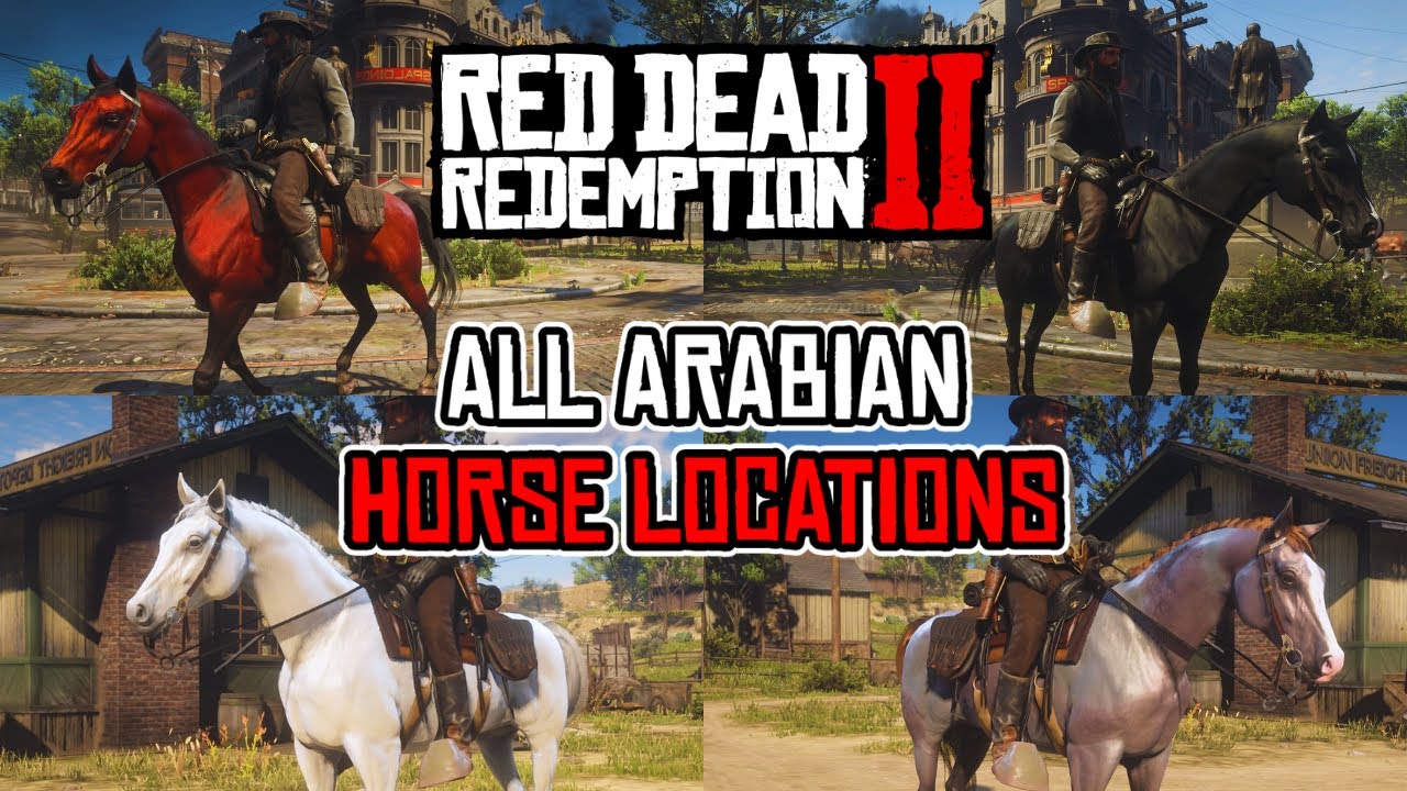 Red Dead Redemption 2 All Arabian Horse Locations | White, Black, Rose ...