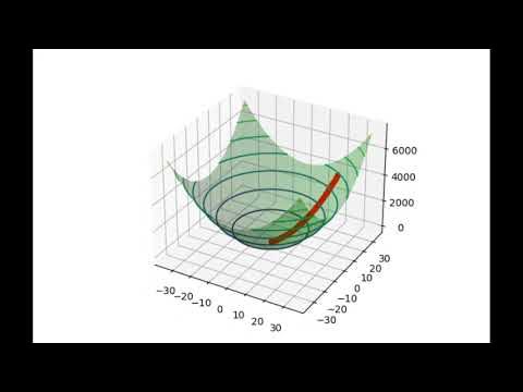 Gradient Descent Simulation - YouTube