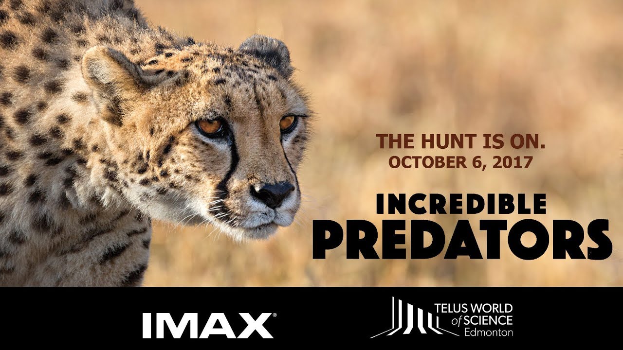 Incredible Predators in IMAX 3D at TELUS World of Science - Edmonton ...