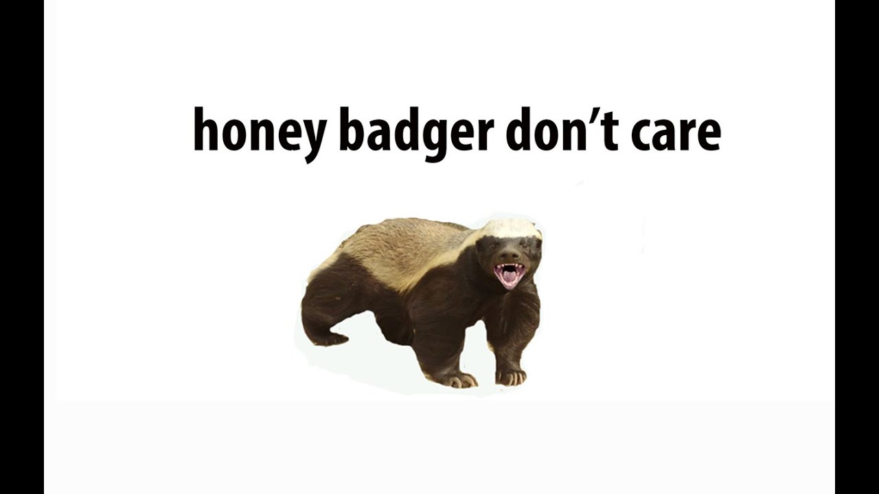Rust Legacy - Honey Badger Don't Care!!! - YouTube