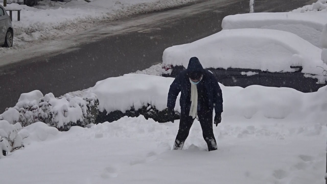 Stella wading knee-deep through the snow, Zurich 15. Jan 2021 - YouTube