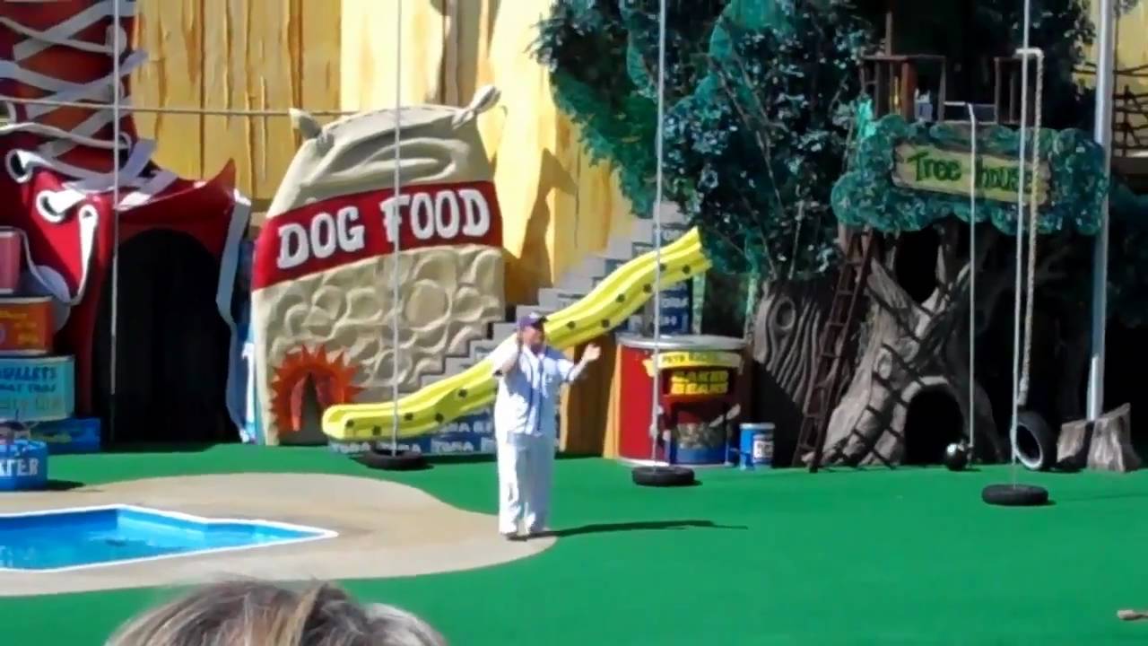 Pets Rule! Show Seaworld 2011 Part 2/3 - YouTube