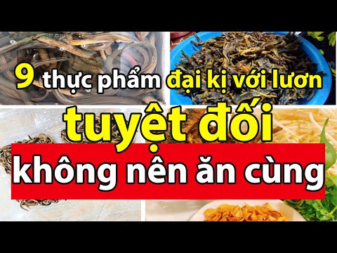 9 Thực Phẩm ĐẠI KỴ Với Lươn, Chuyên Gia Khuyến Cáo Tuyệt Đối Không Nên Ăn Cùng KẺO NGUY HẠI SỨC KHOẺ