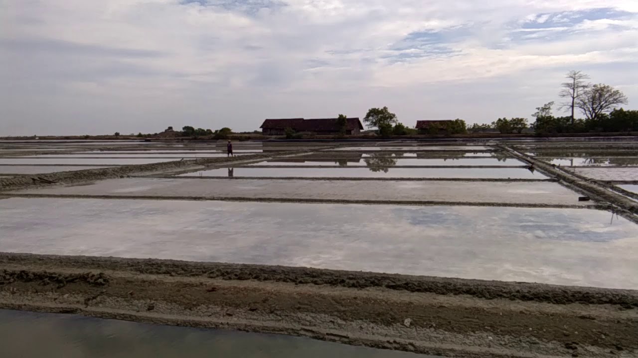 Kunjungan pt jgi lahan garam rembang - YouTube