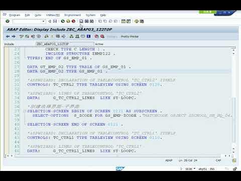 SAP ABAP 18 BDC & Dialog 作业讲解 - YouTube