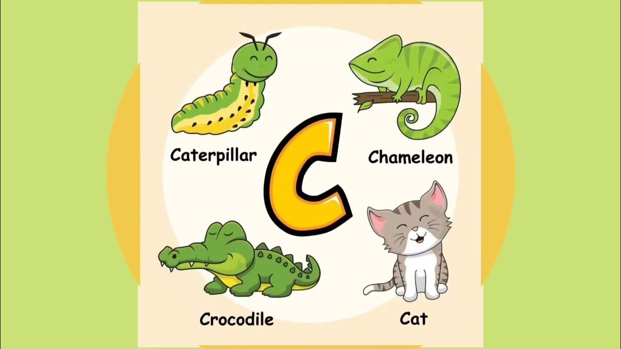 Animal alphabet a to z | alphabet animals name | abc animals zoo | abc ...