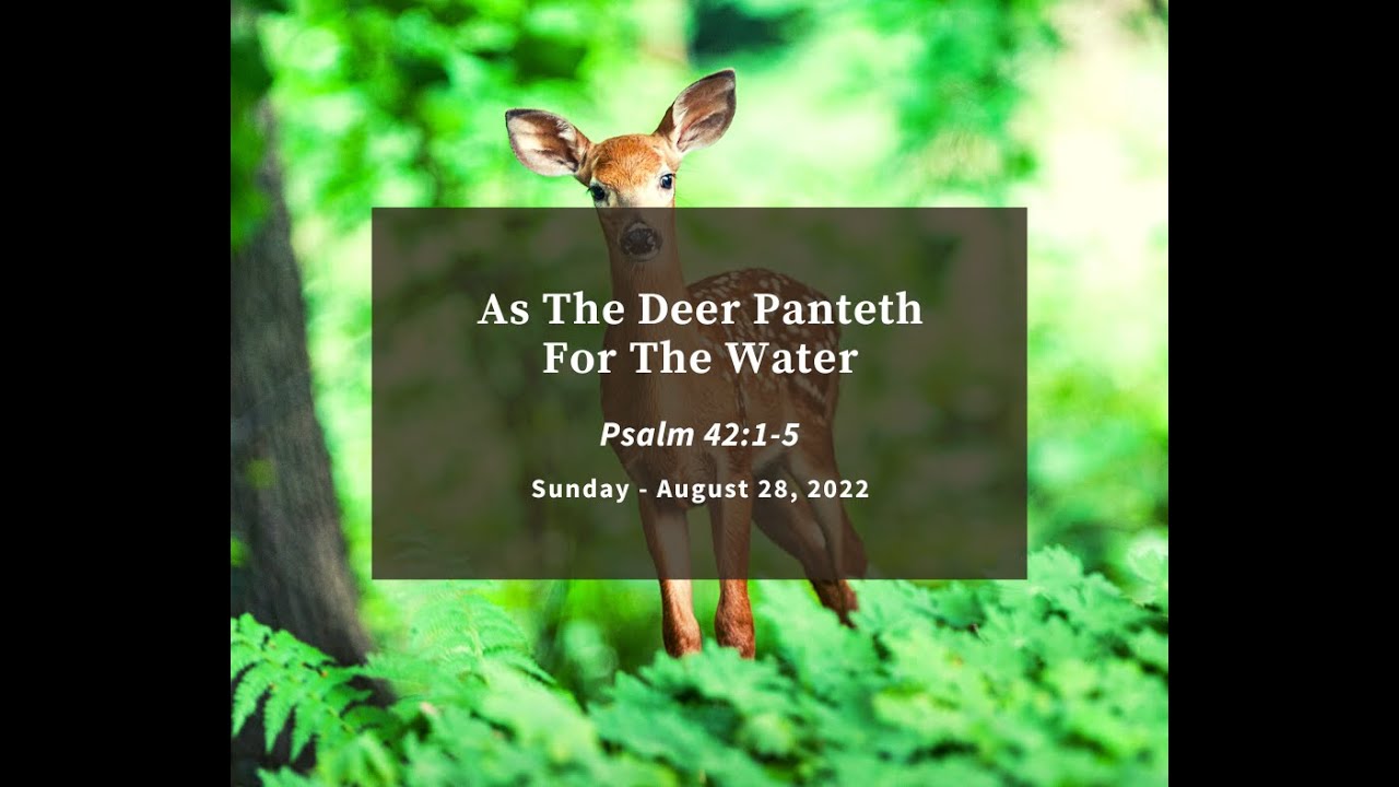 As The Deer Panteth For The Water - Psalm 42:1-5 - YouTube