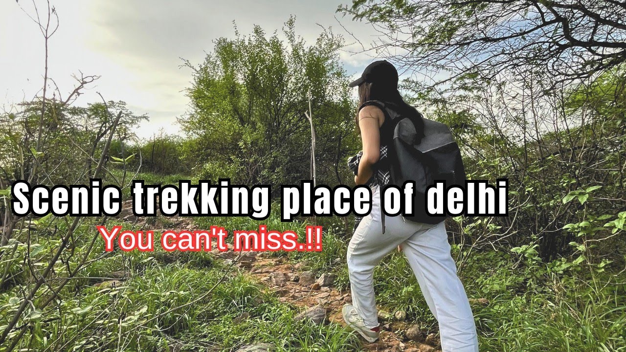 Exploring Sanjay Van Delhi : best Sunset point 😍 - YouTube
