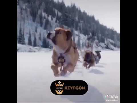 Baxımlı bir film 👍🏻