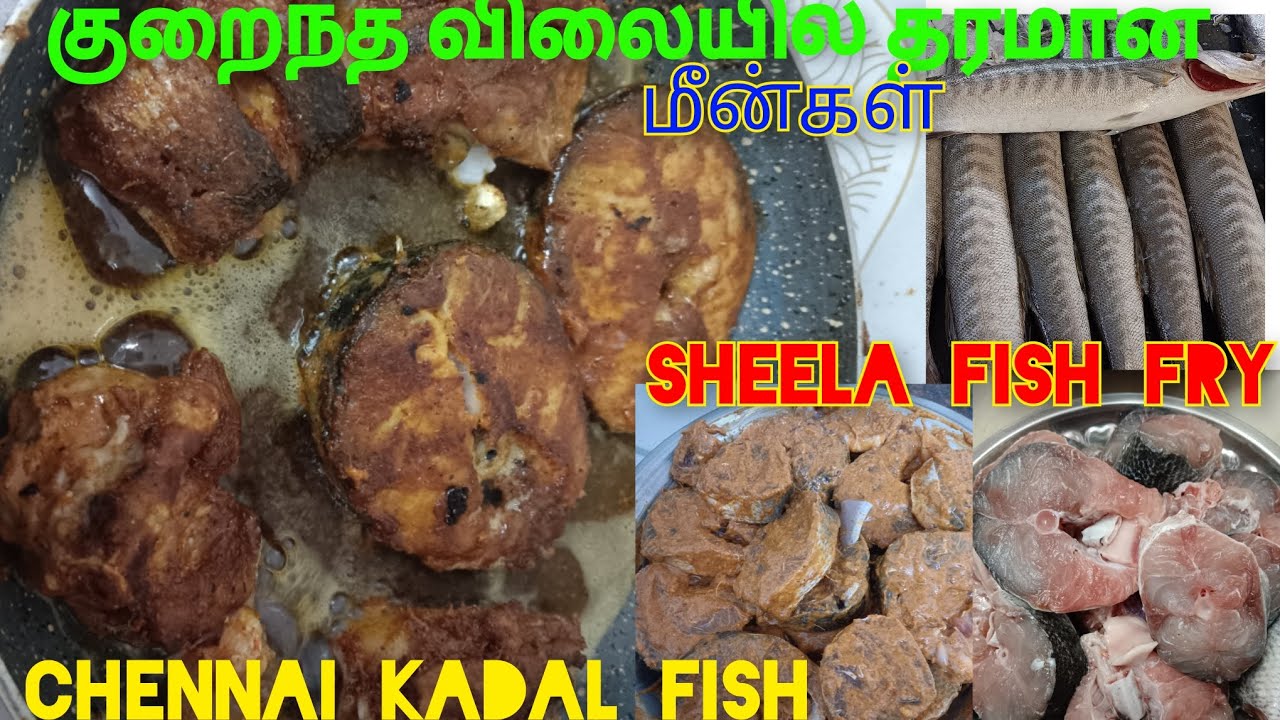 Chennai kadal fish Sheela fry recipe in tamil healthy ramajayam r ...