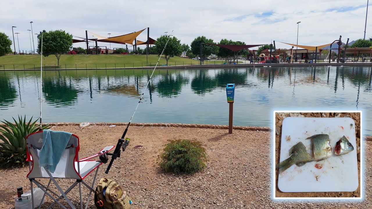 Using Fresh Cut Bluegill To Catch My New PB Channel Catfish! - YouTube