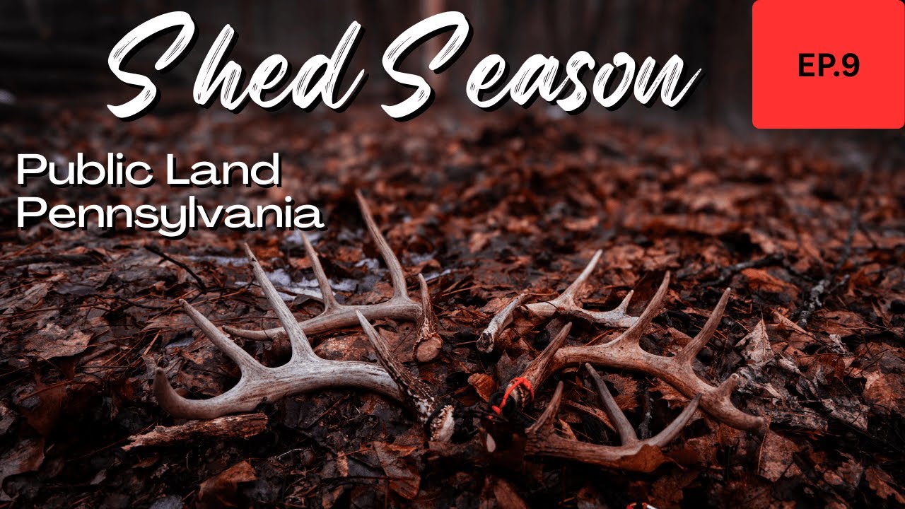 | Public Land Shed Hunting Pennsylvania Ep.9 | - YouTube