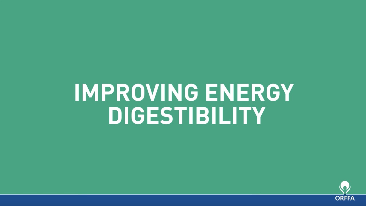 Nutritional emulsifier - Orffa Energy Plus - YouTube