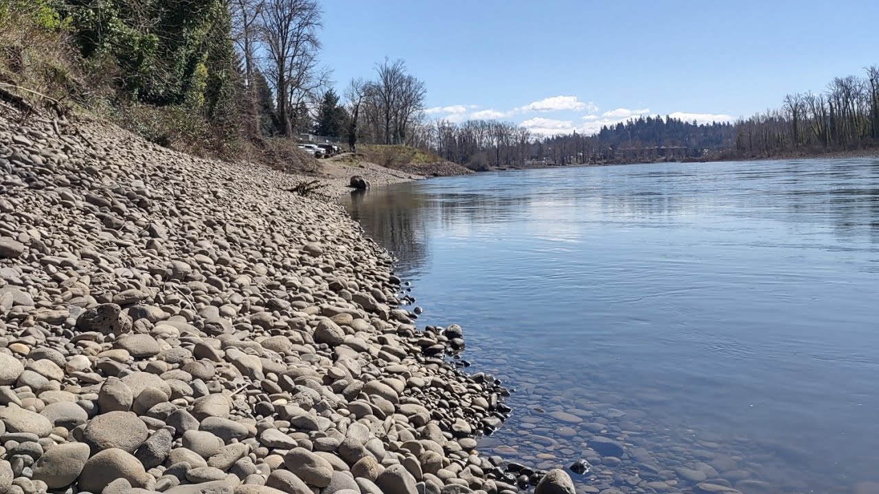 Rockhounding agates jasper Willamette river Oregon - YouTube