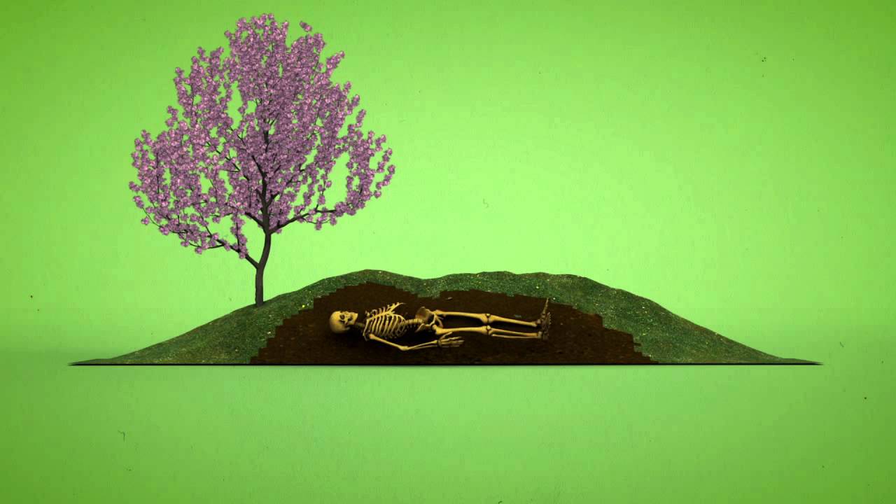 Inside (Short Film) | Trunk Animations, Digital Video Production - YouTube