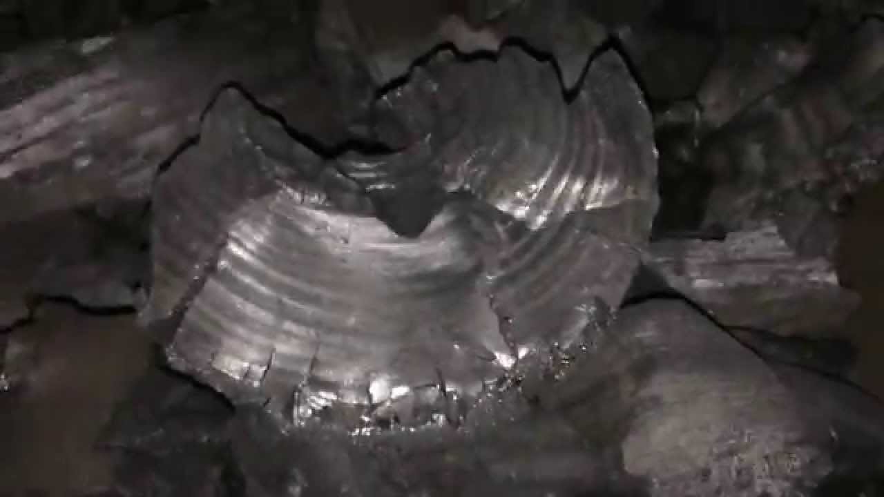 White Quebracho charcoal from Paraguay. - YouTube