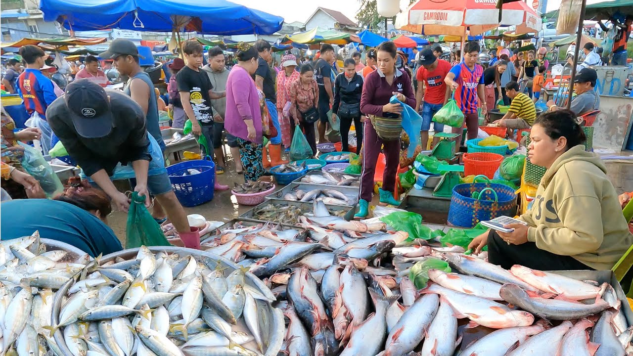 Vendors Popular Wholesale Fish Market - Amazing Site Distribution Fish ...