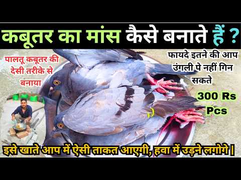 कबूतर का मांस🕊️बिल्कुल देसी तरीके से ऐसे बनाया की घरवाले प्लेट के साथ अंगुली चाट गए | Kabutar Recipe