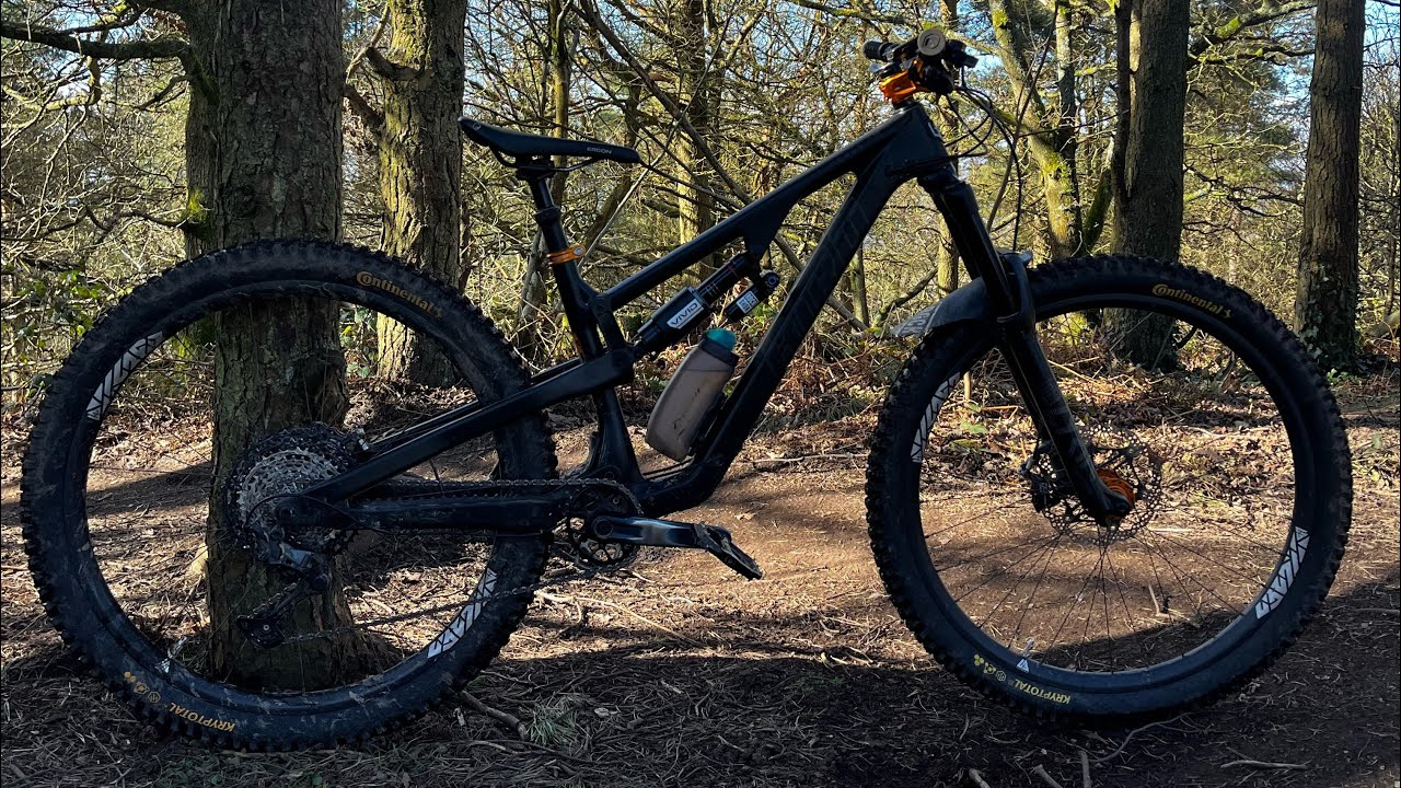 Cwm Woods Mash Up - YouTube