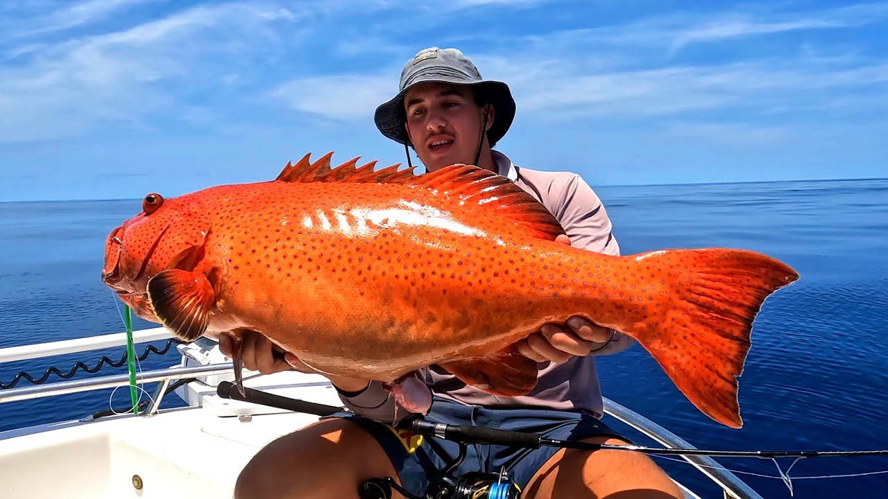 JIGGING for DINO CORAL TROUT Townsville feat. Satori Fishing - YouTube
