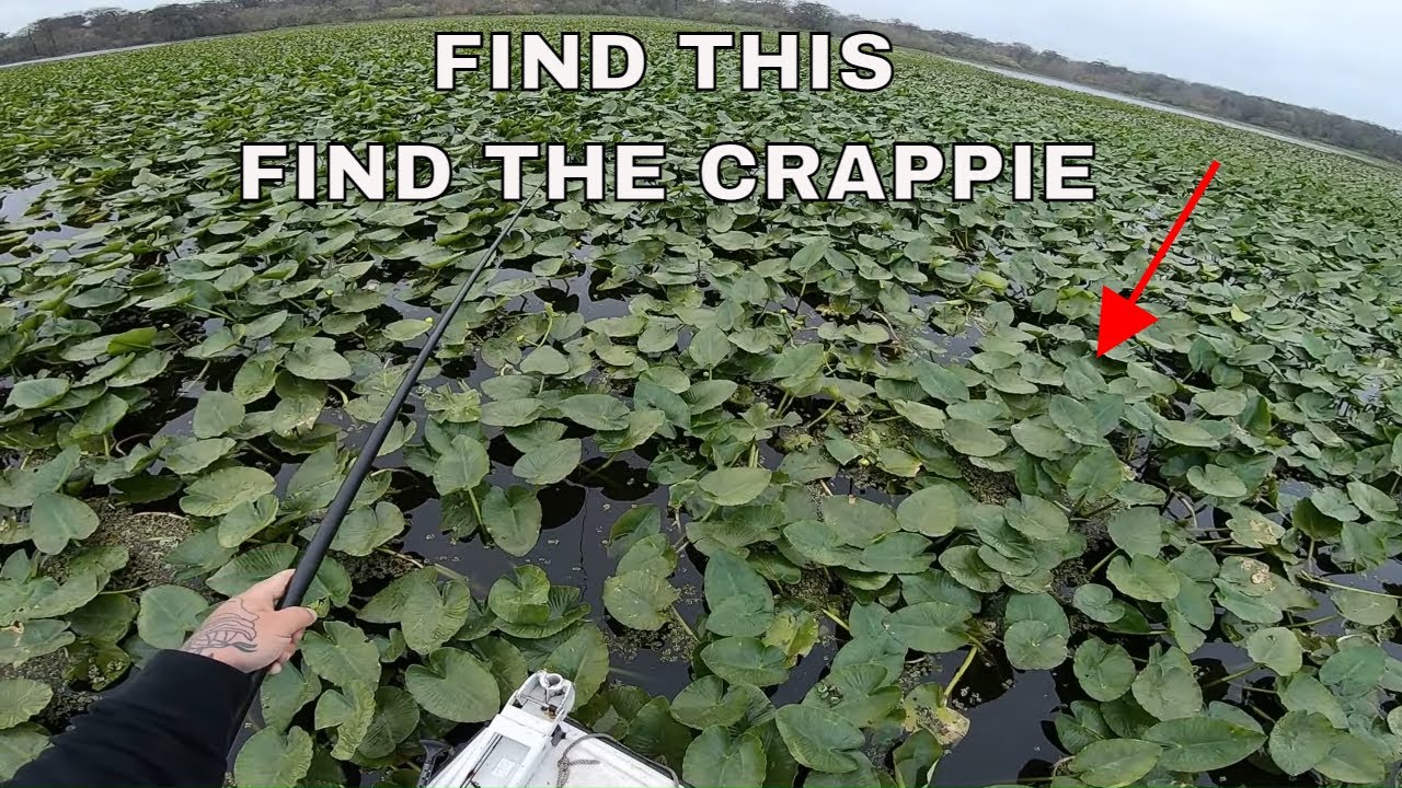 Sometimes They can be Hard to CATCH ***CCC - YouTube