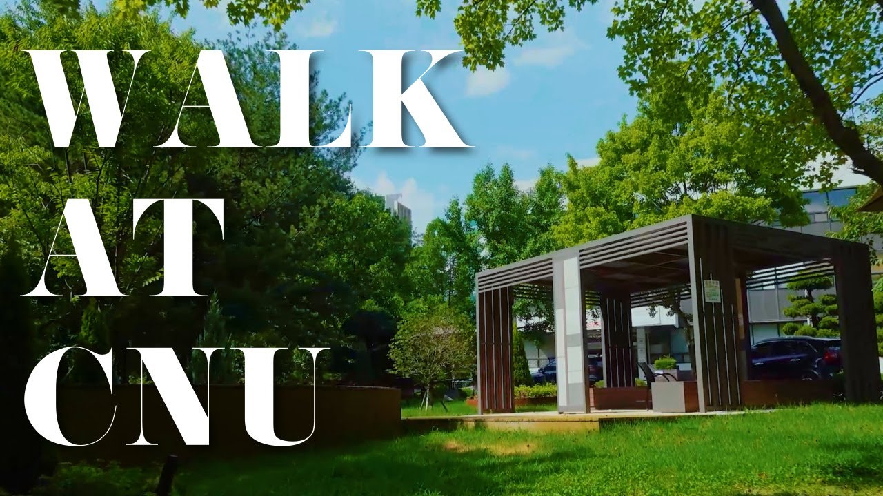 WALK AT CNU | 충남대학교 | 충남대 | CNU | 대학교 걷기 - YouTube