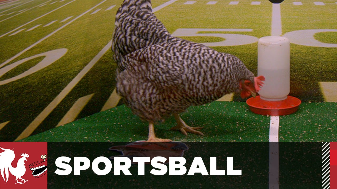 Chicken Predicts NFL Playoff Losers - Sportsball | Rooster Teeth - YouTube