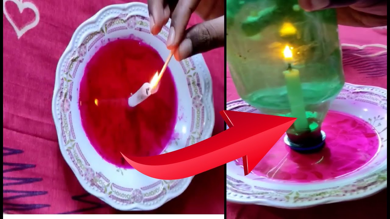 How to Perform a Simple Tree Science Experiment - YouTube