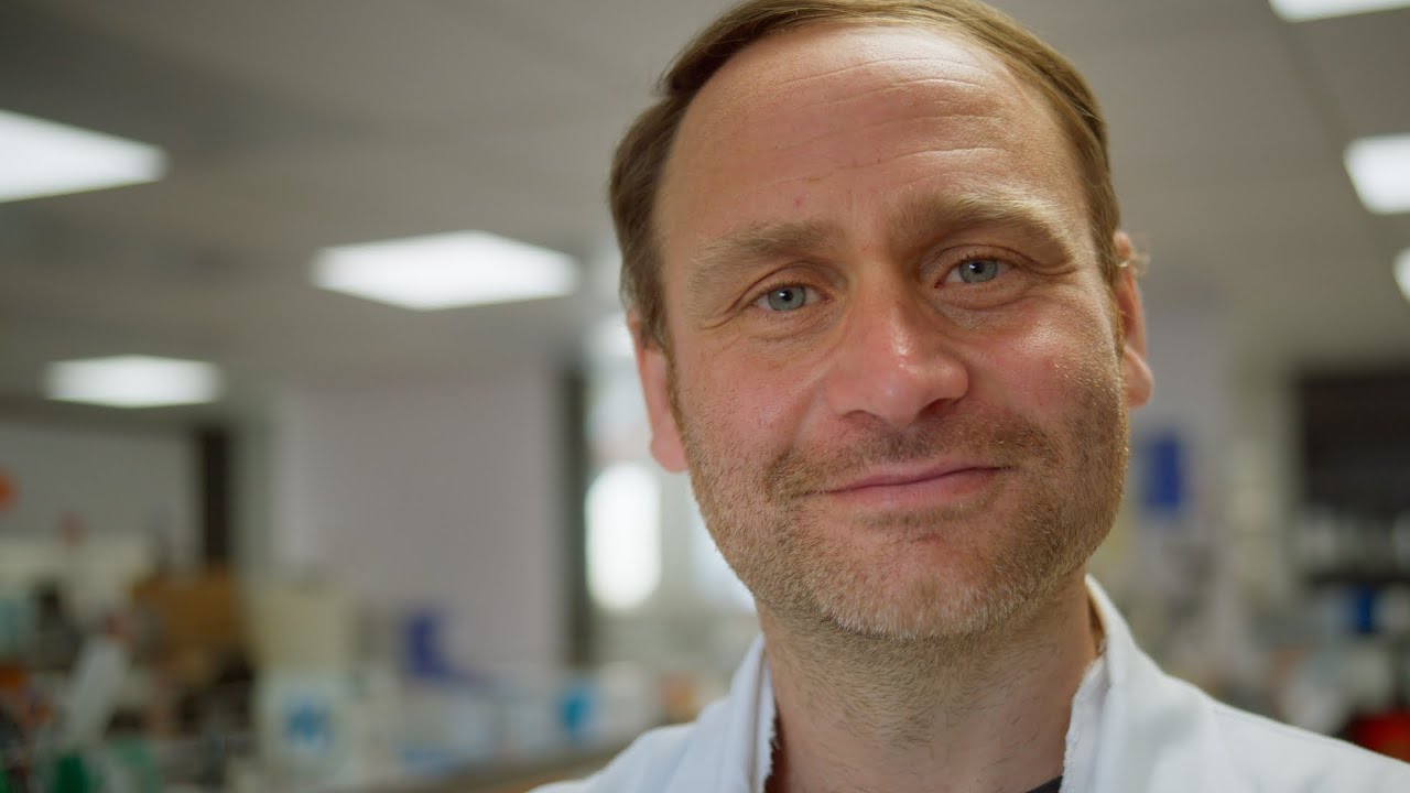 Meet our Scientists and Engineers: Andreas Zeller - YouTube