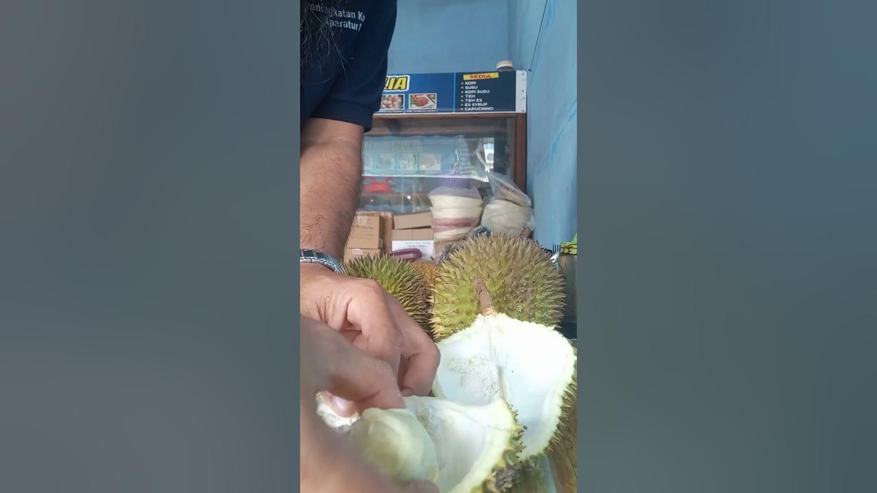 Durian sudah banjir harga sudah murah.#durianmurah#duriantermahal#buahdurian#musimbuah#fyp - YouTube