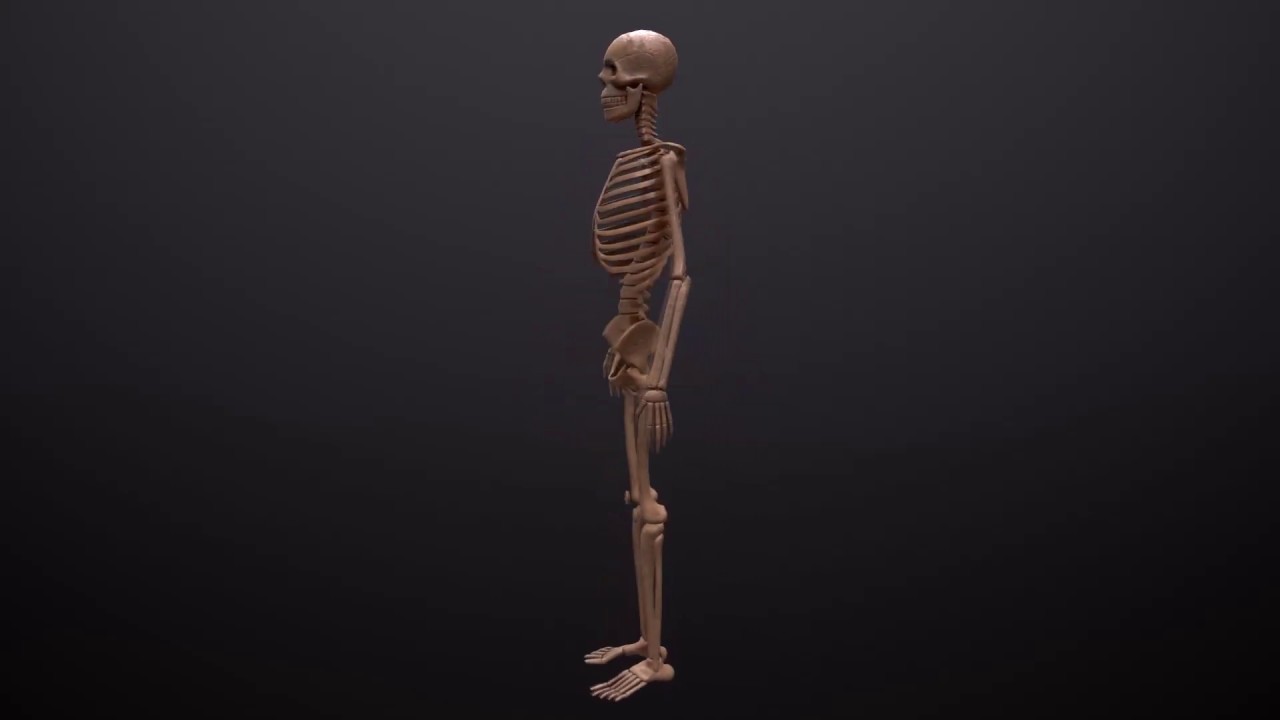 Skeleton 3d game character - YouTube