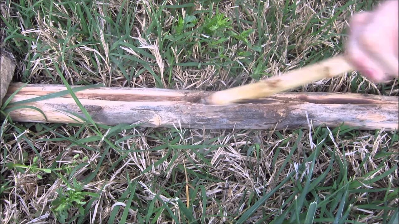 Primitive Fire Technique - Fire Plow - YouTube